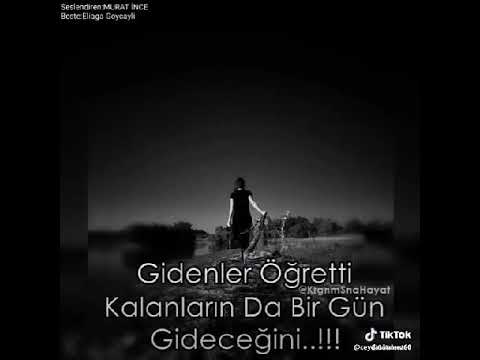 Sevmek şiir