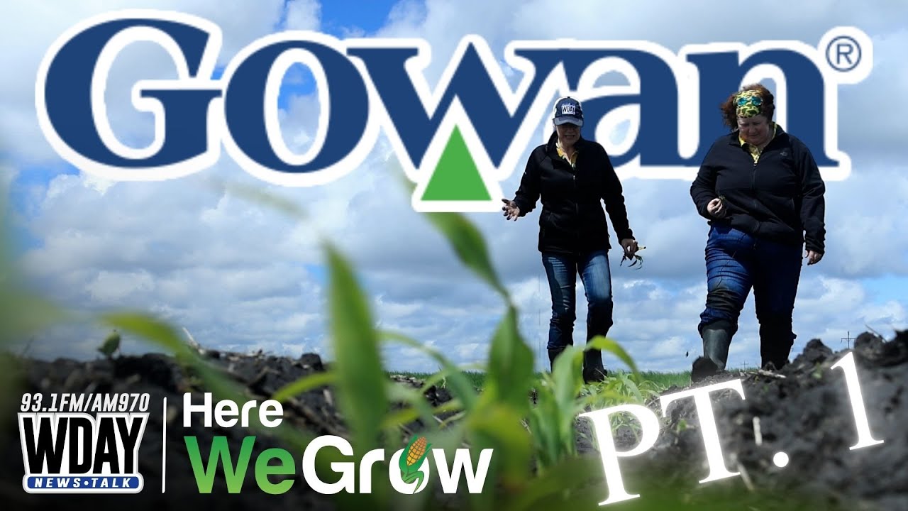 Getting muddy in the field with PROTECTION from Gowan... Pt. 1 | Here ...