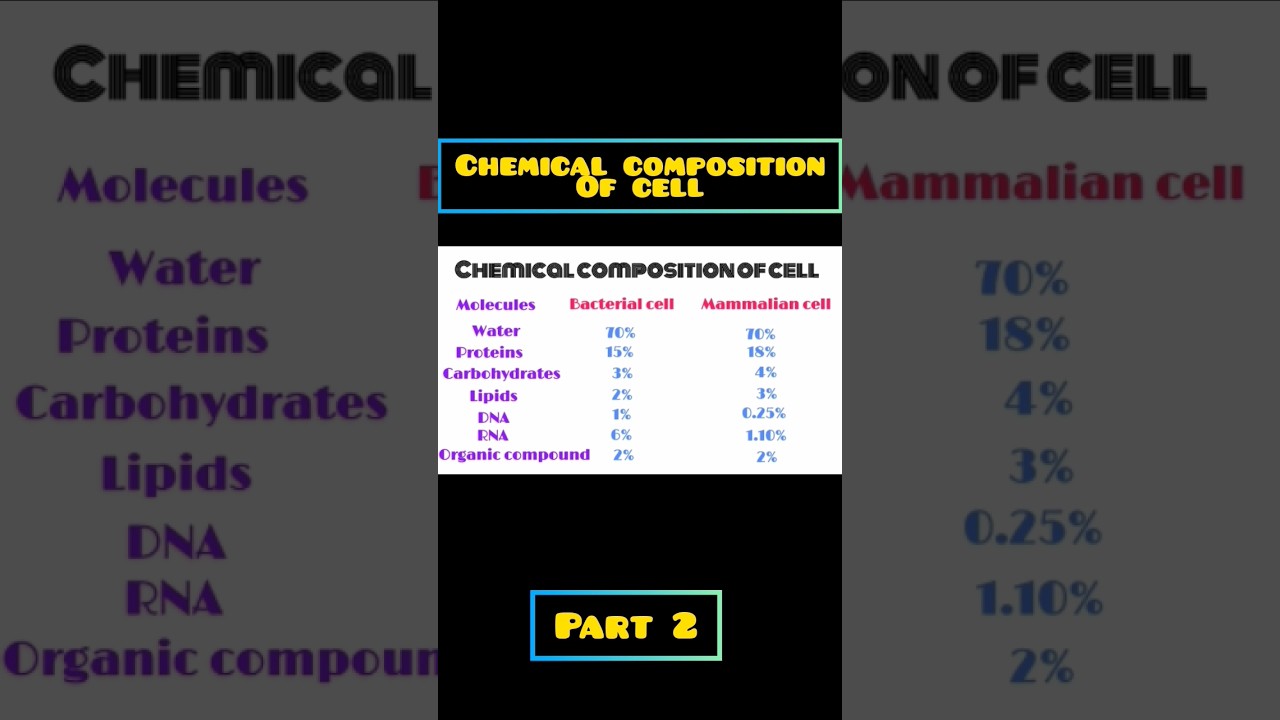 Chemical composition of cell part 2 - YouTube