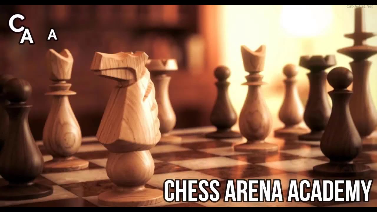 What Exactly Is Arena In Chess.Com? – YLEAV