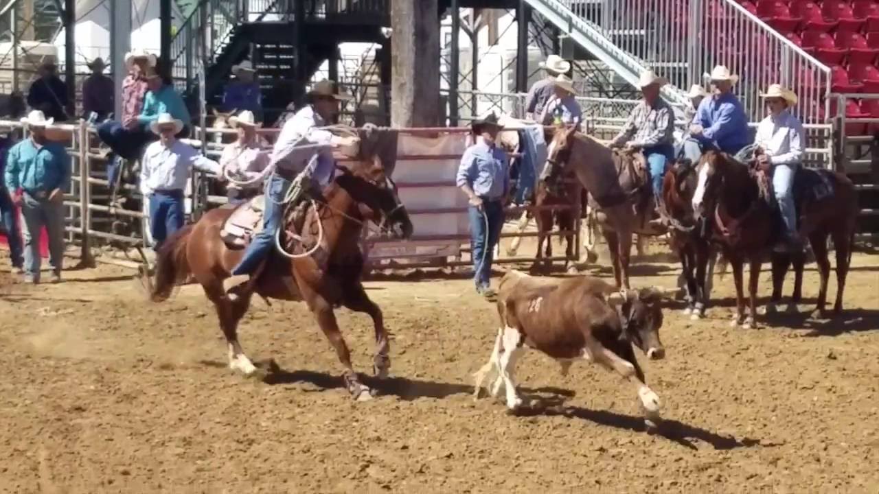 Team Roping Jo Jo LeMond Rodeo Sports Promotions EP 29 - YouTube