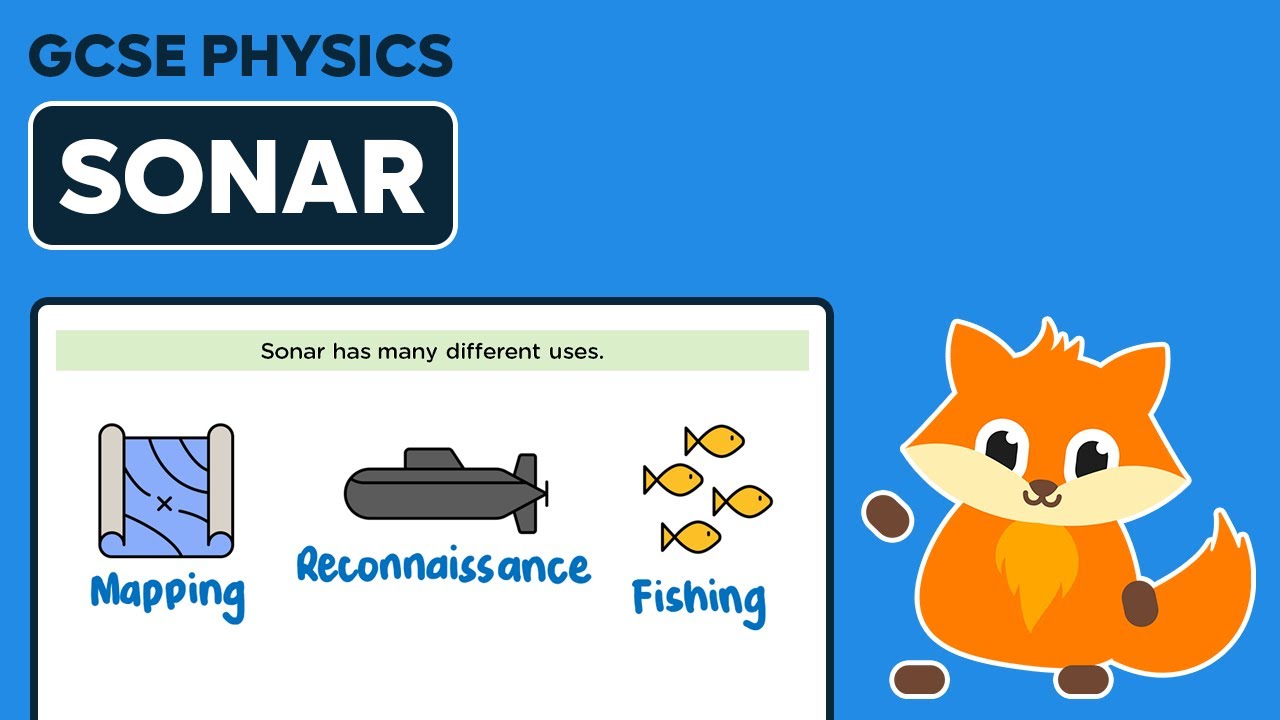 Sonar - GCSE Physics - YouTube
