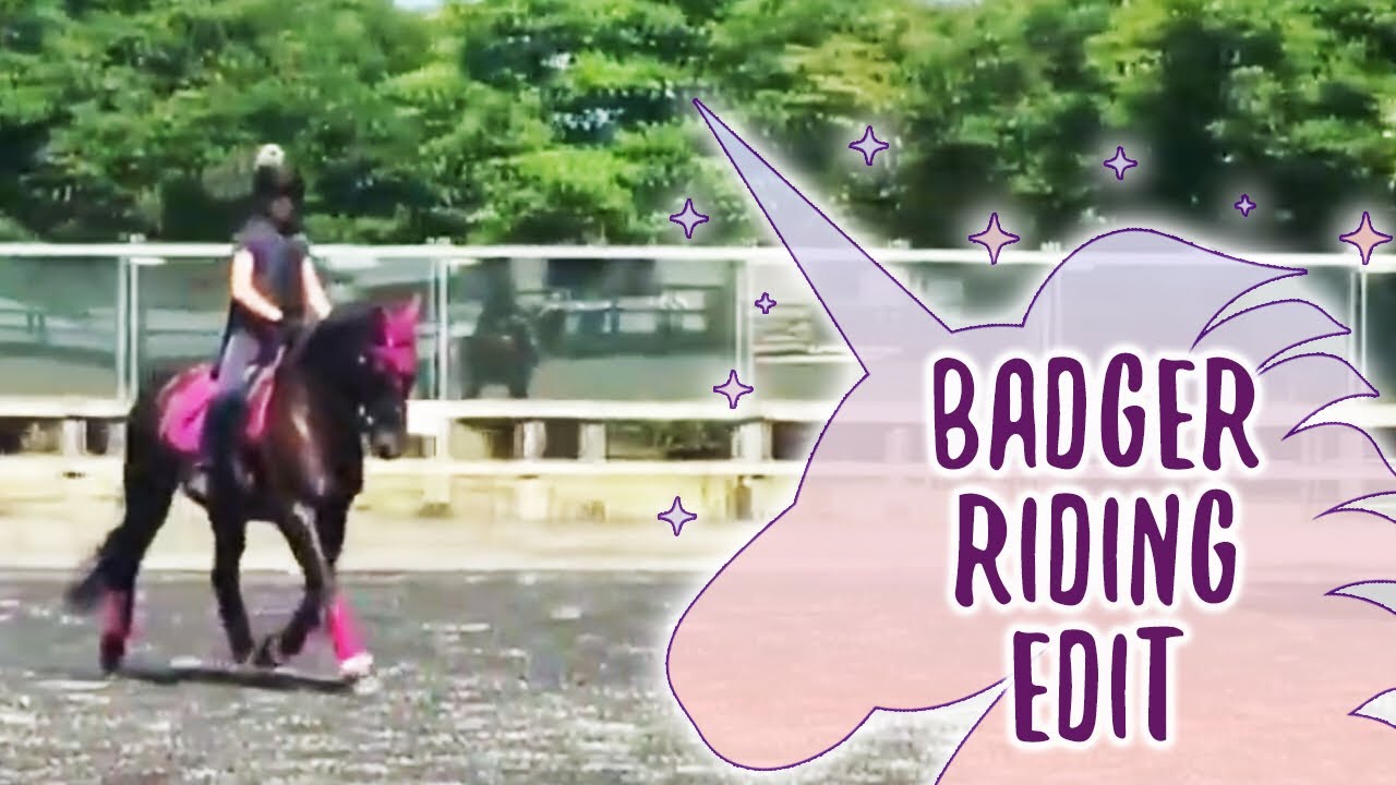 Badger riding edit! | Shadow The Unicorn - YouTube