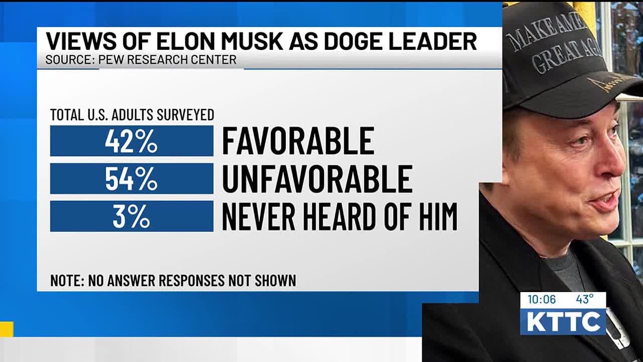 DIGGING DEEPER: How Americans view Elon Musk in DOGE role - YouTube