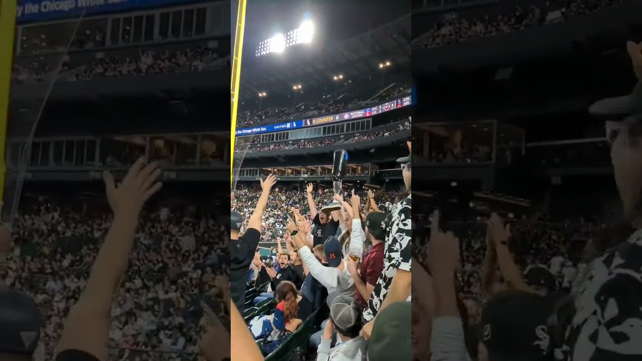 fan catches baseball with Prosthetic leg 🤣 - YouTube