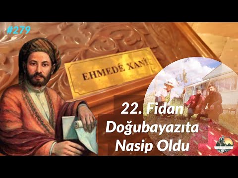 Ahmedi Hani Türbesi ni Ziyaret Ettik Ve müftü Camisine Fidan Diktik #81il81fidan #279