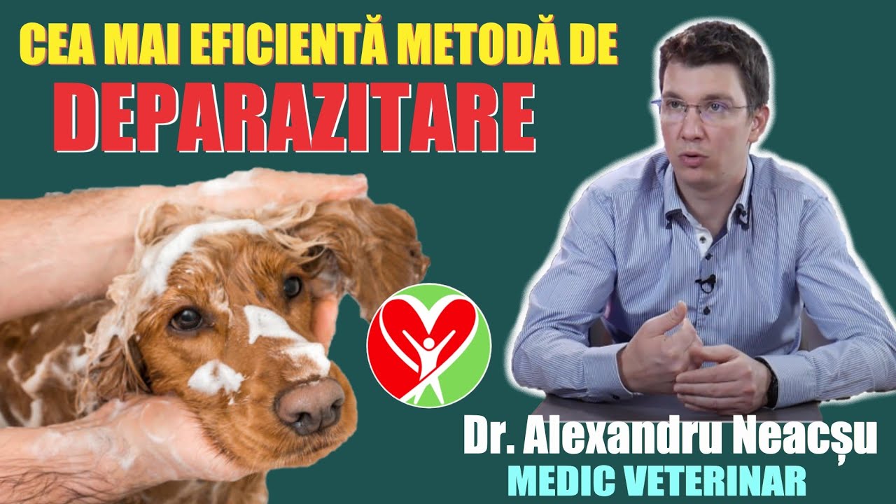 Cea mai eficientă metodă de deparazitare | Dr. Alexandru Neacșu - Medic ...