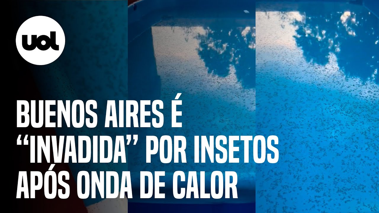 Insetos parecidos com piolhos 'invadem' Buenos Aires após onda recorde ...