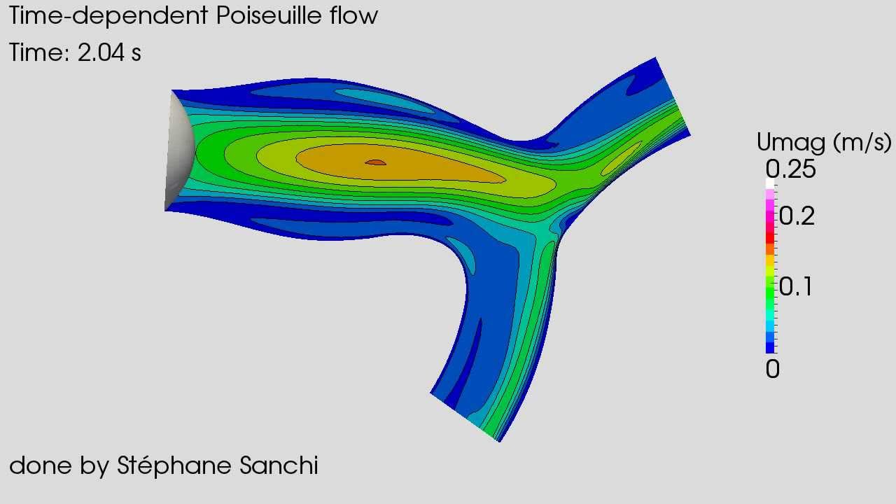 Biofluids - Pulmonary Artery Bifurcation Simulation with OpenFOAM - YouTube