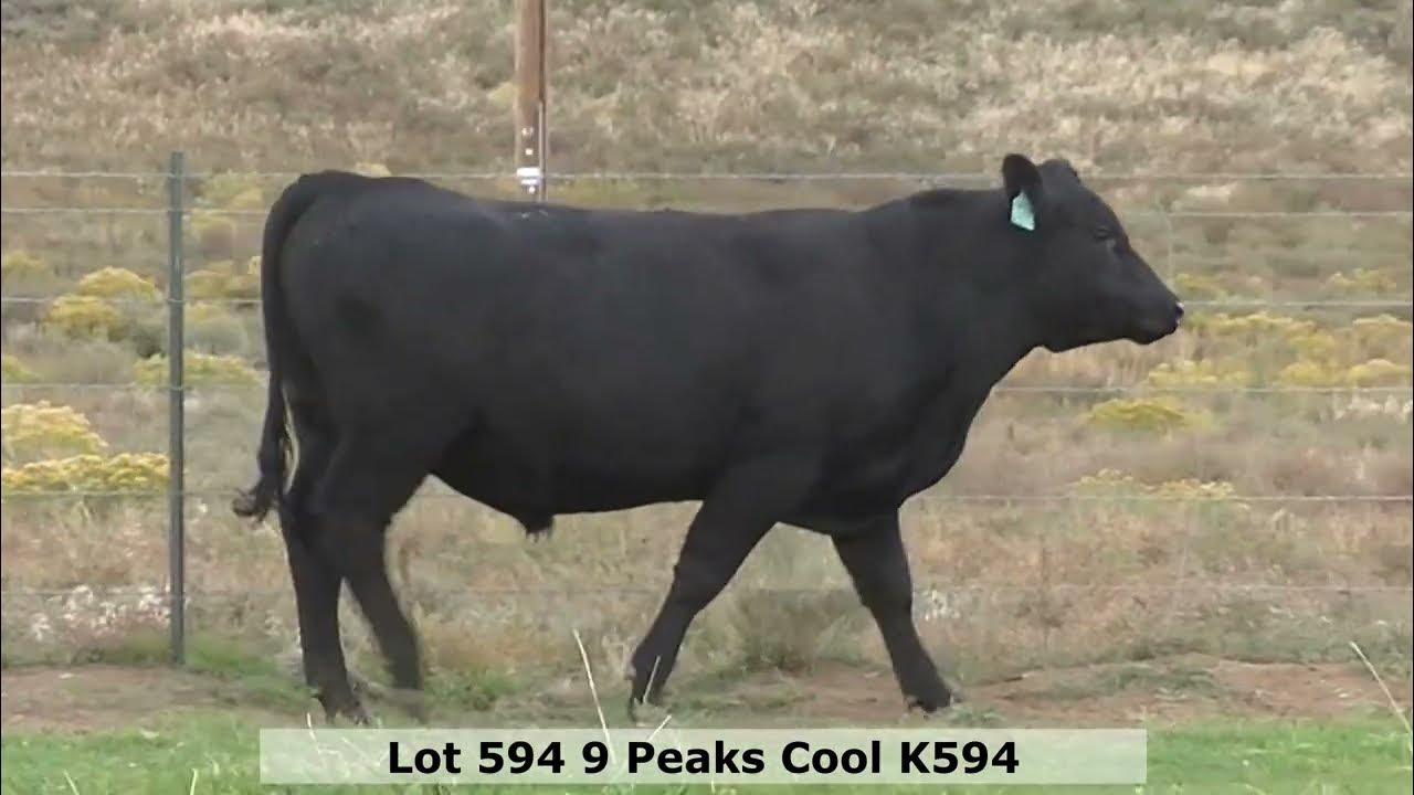 9 Peaks Cool K594 - YouTube