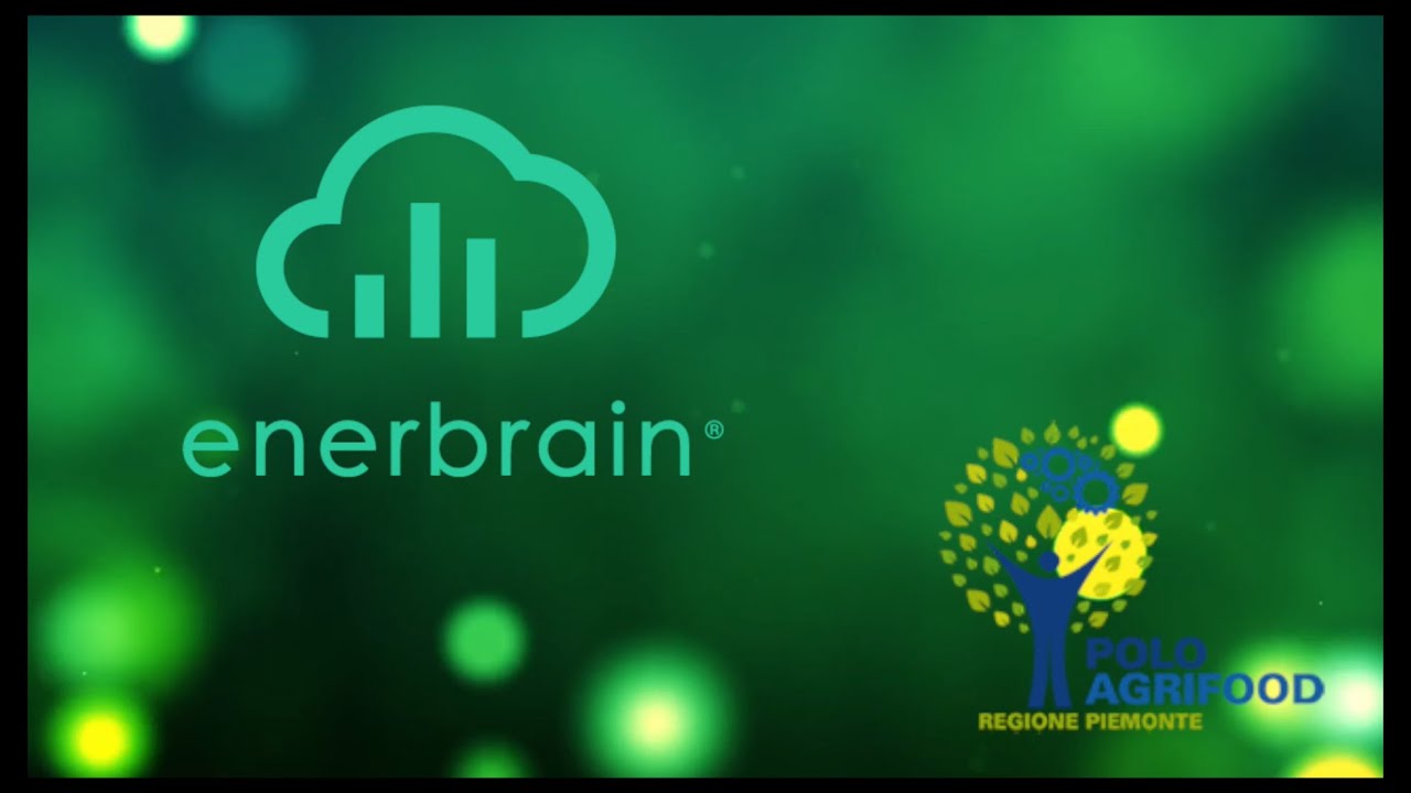 Storie Polo Agrifood - Enerbrain - YouTube