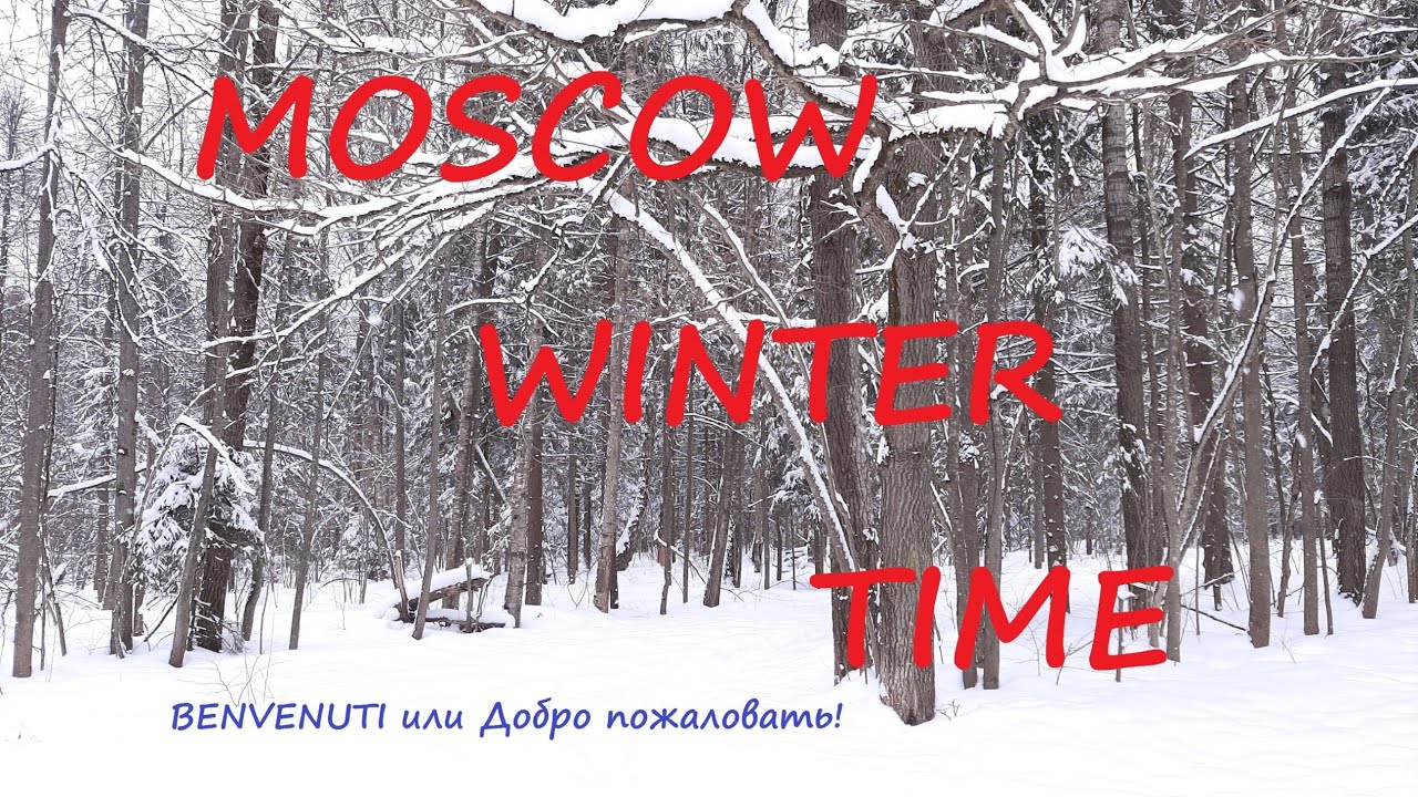Winter walking tour in Moscow forest. (ENG SUB) Зимняя прогулка в лесу ...