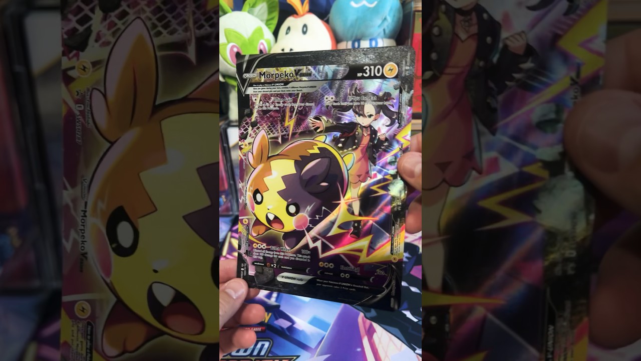 Pokemon Morpeko v union playmat collection box. - YouTube