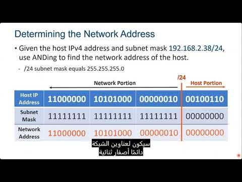 Lecture 30: CCNA 1: (Modules 11 - 13): IP Addressing | IPv4 Addressing - YouTube