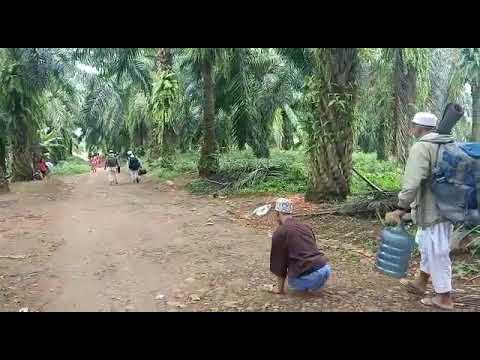 Khuruj Fisabilillah 4 Bulan Jalan Kaki jamaah Sanana sedang bergerak ...