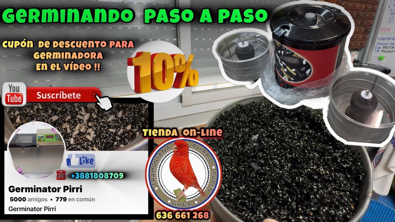 Germinando paso a paso con el germinador PIRRI N-59 - YouTube