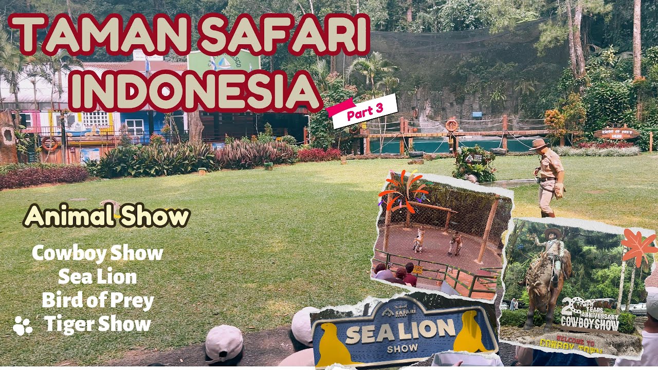 TAMAN SAFARI BOGOR 2024 || TSI Part 3 || Tiger Show, Bird of Prey, Sea ...