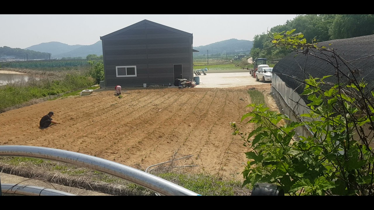 SOUTH KOREA FARMING - YouTube