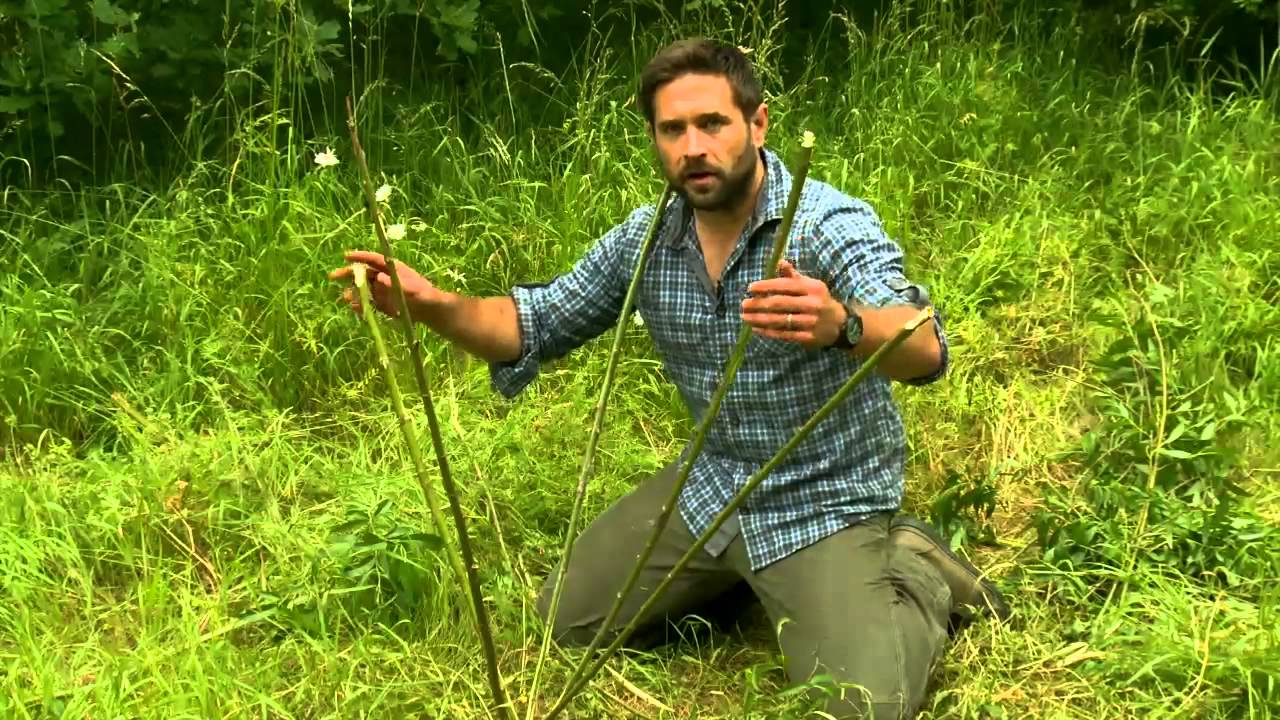 Oxford University: Klint Janulis Making A Willow Fish Trap - YouTube