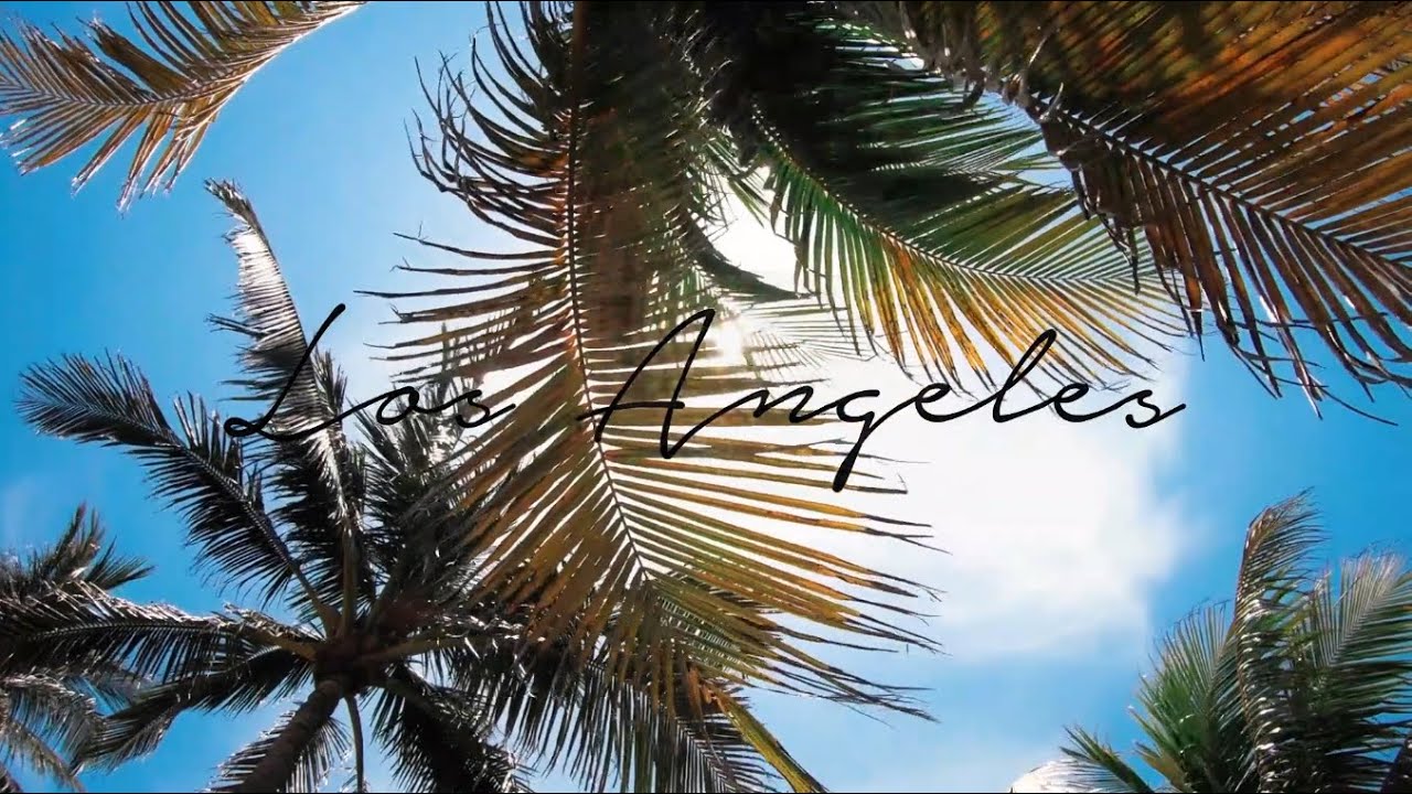 Spotlight on Success | Real Estate Agent Profile Video - YouTube