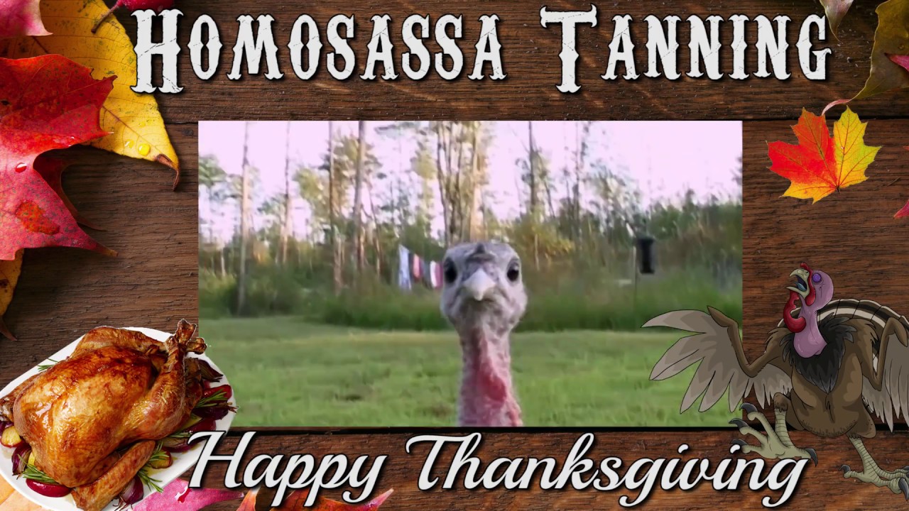 Homosassa Tanning Turkey Life - YouTube