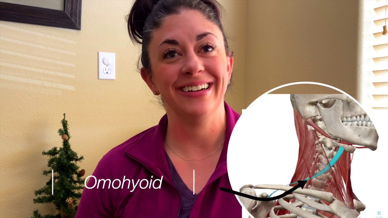 Omohyoid Muscle Pain