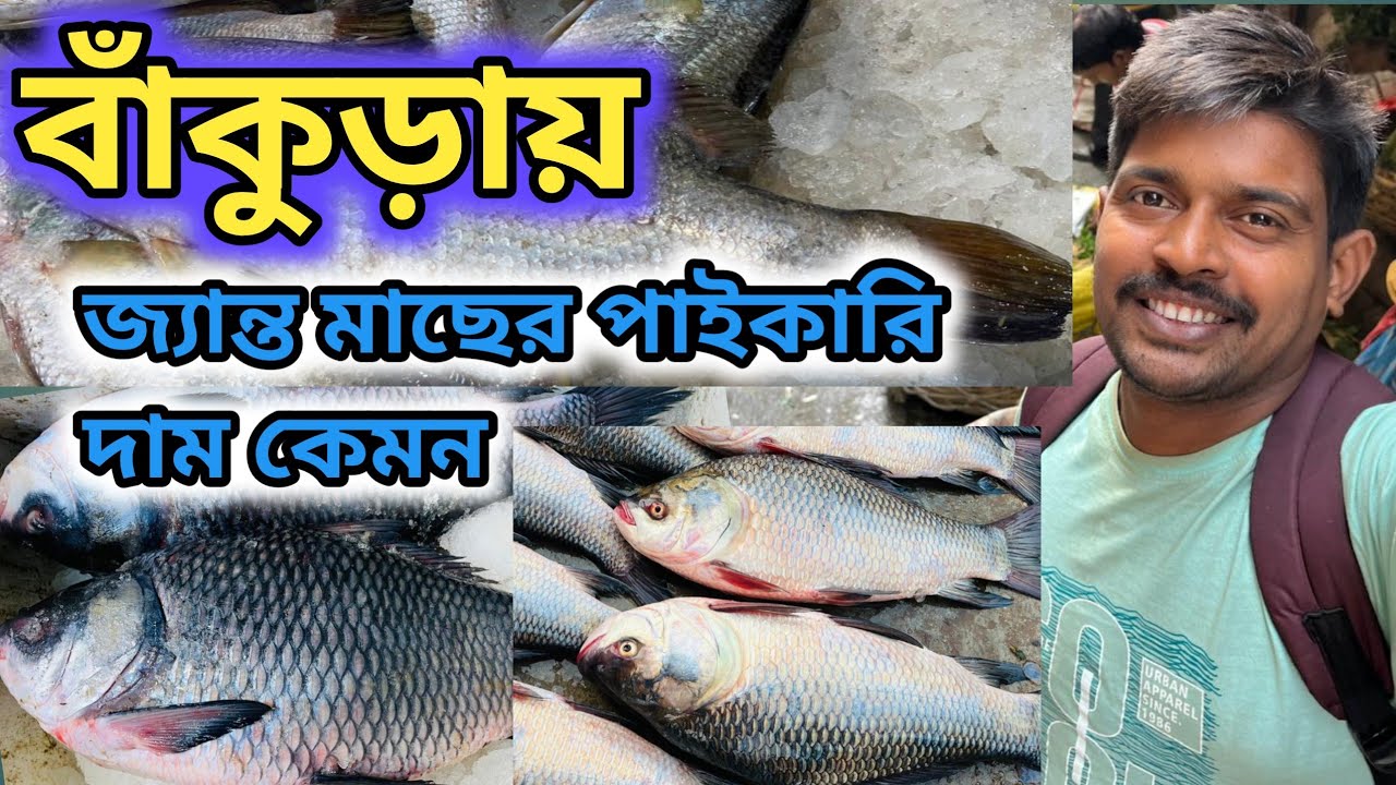বাঁকুড়া জ্যান্ত মাছের পাইকারি বাজার #fishmarket #fish #mach - YouTube