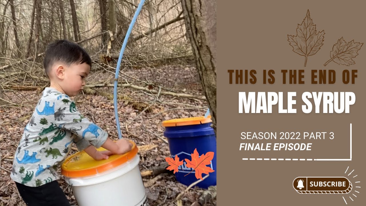 #69 This Is The End Of Maple Syrup 2022 Part 3 Finale Episode - YouTube