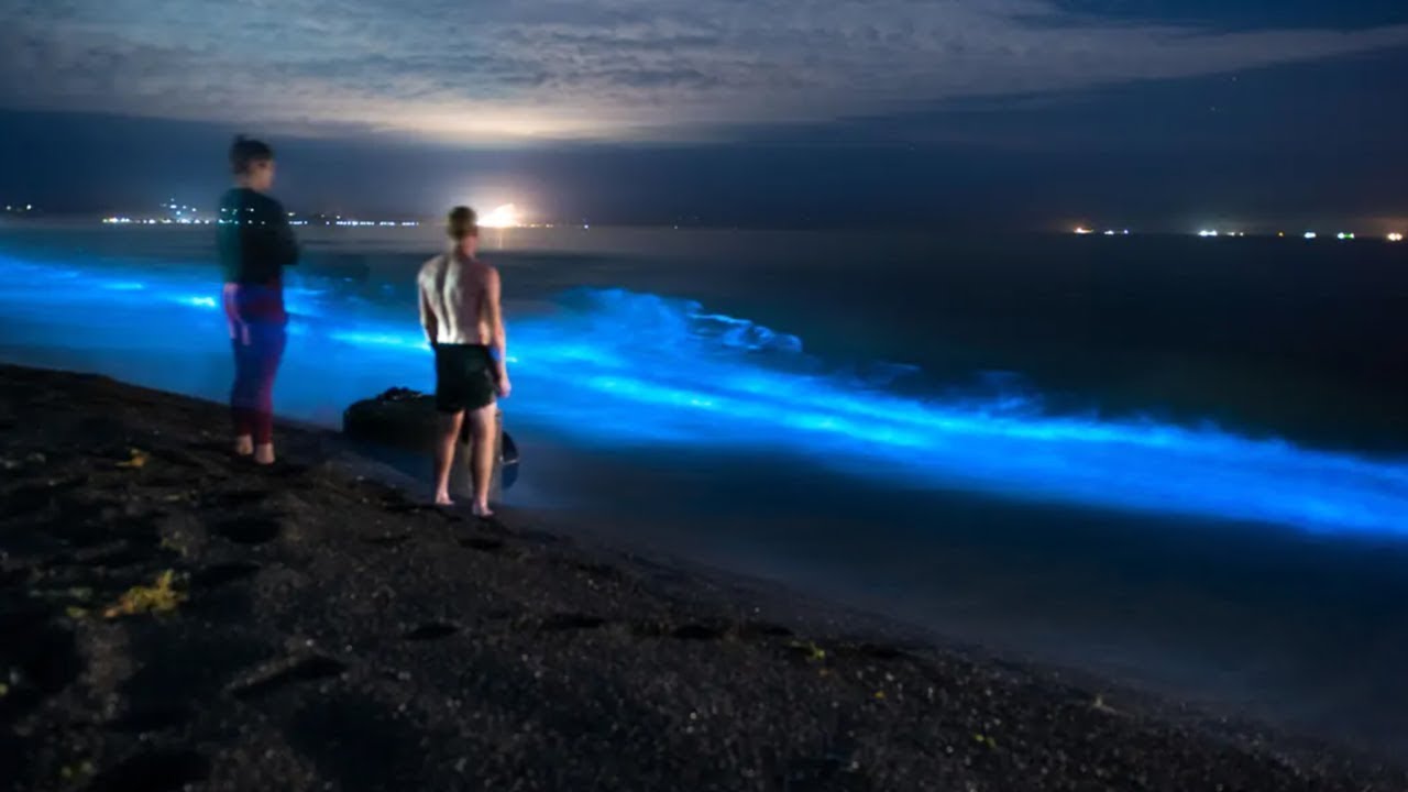 15 Most Unique Beaches In The World - YouTube