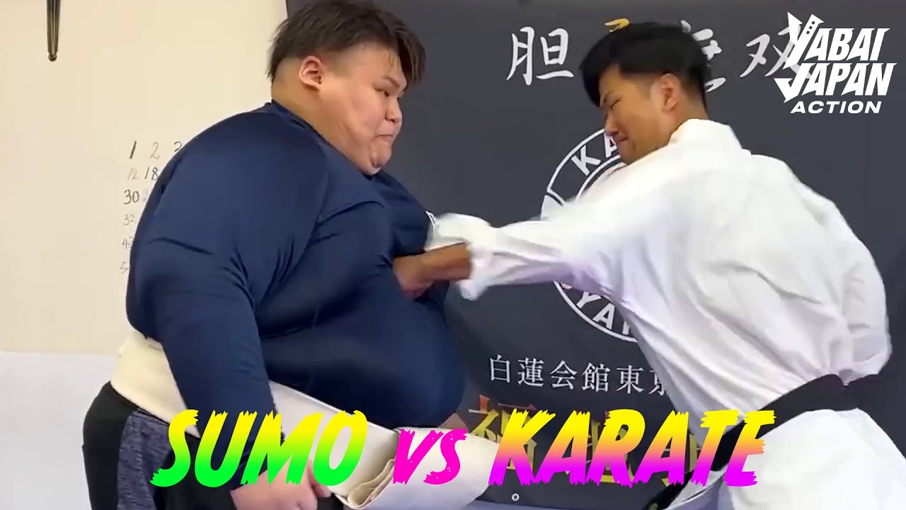 220kg Sumo Wrestler vs. "Karate World Champion" - Battle of the ...