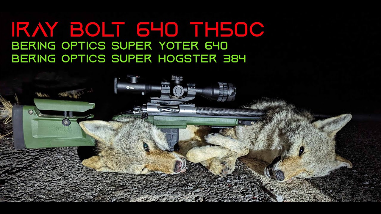 Thermal Coyote Hunting: Iray Bolt TH50C, Super Yoter, Super Hogster ...
