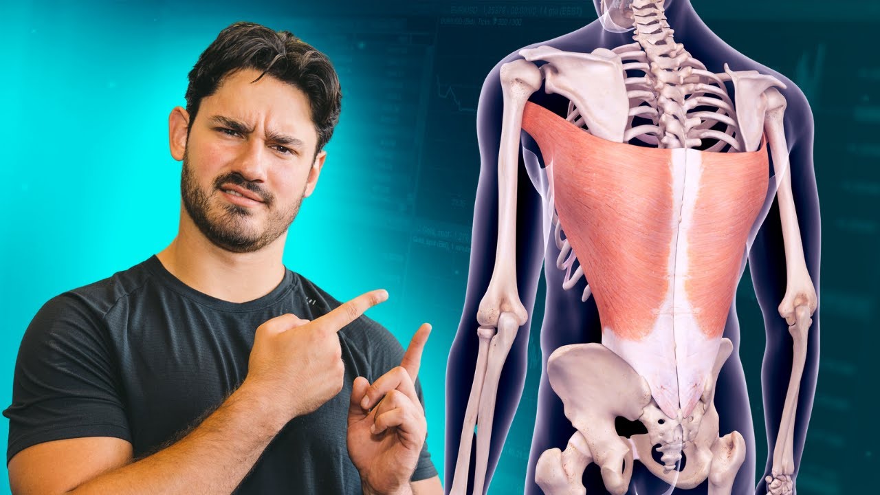 Grow Massive Lats (ONLY 2 exercises) - YouTube