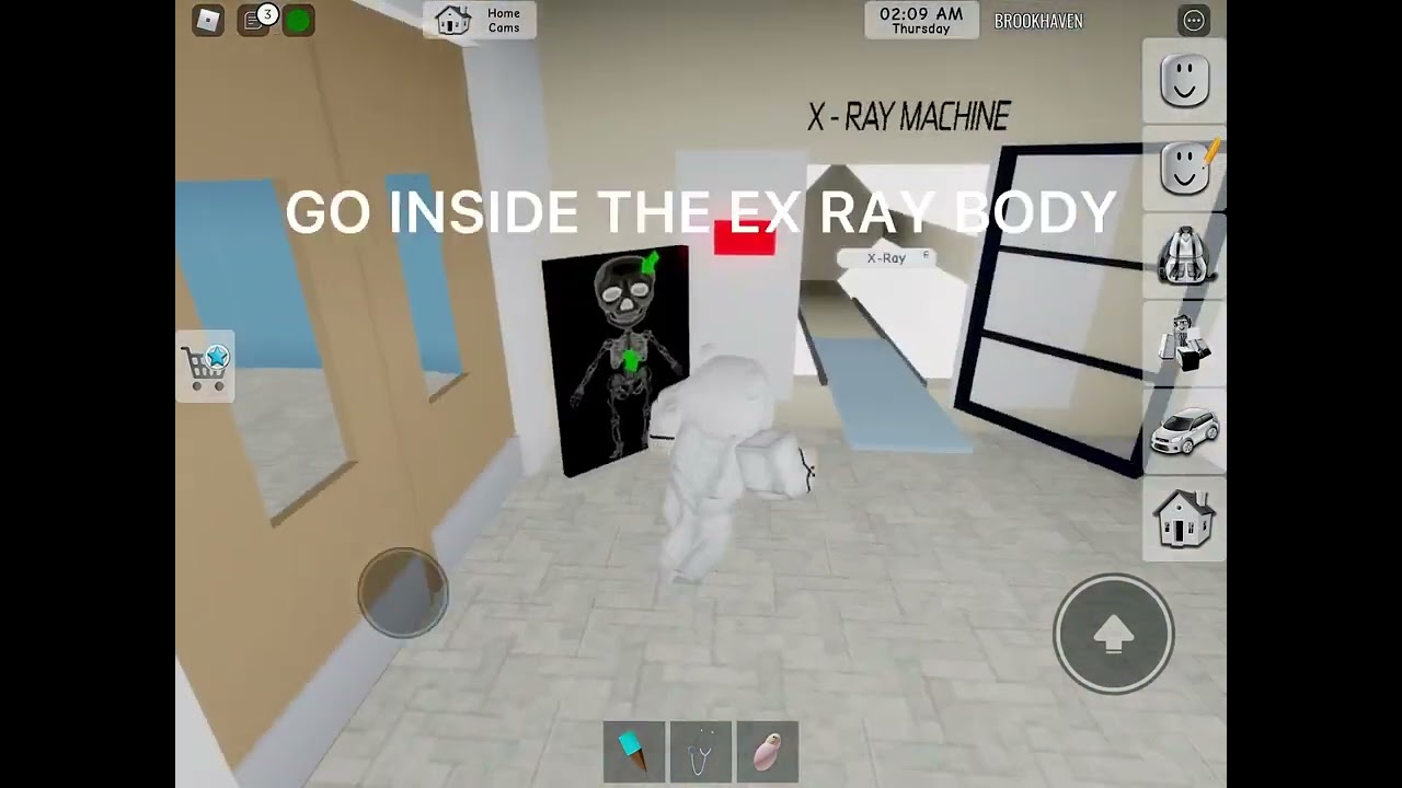 Brookhaven hacks you should try out🫣 - YouTube