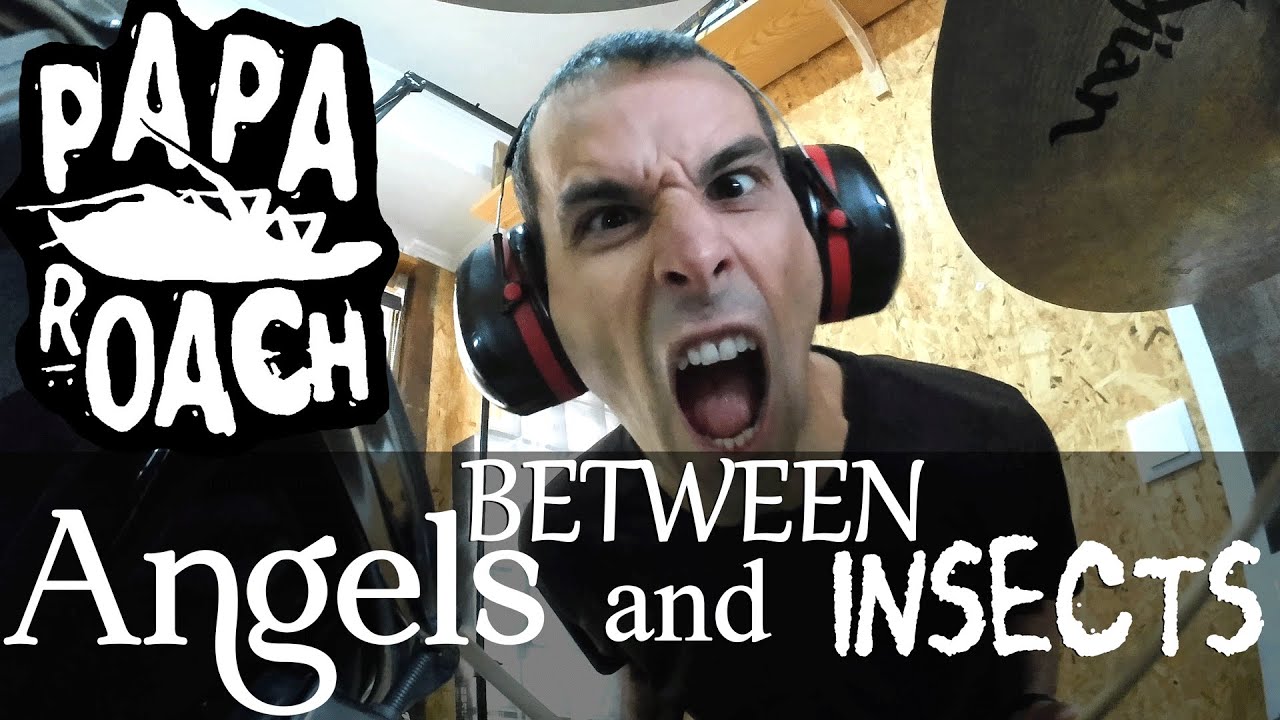 Papa Roach - Between Angels and Insects (Drum Cover) - YouTube