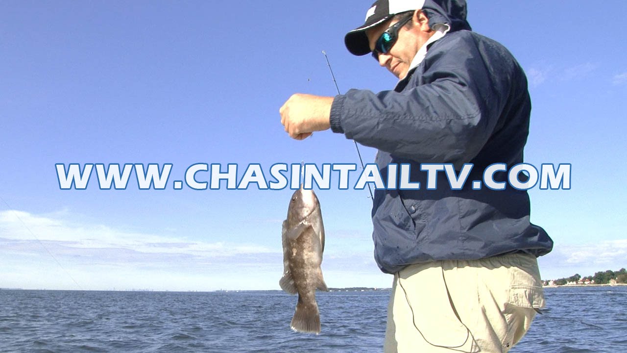 Jigging for Blackfish | Chasin' Tail TV - YouTube