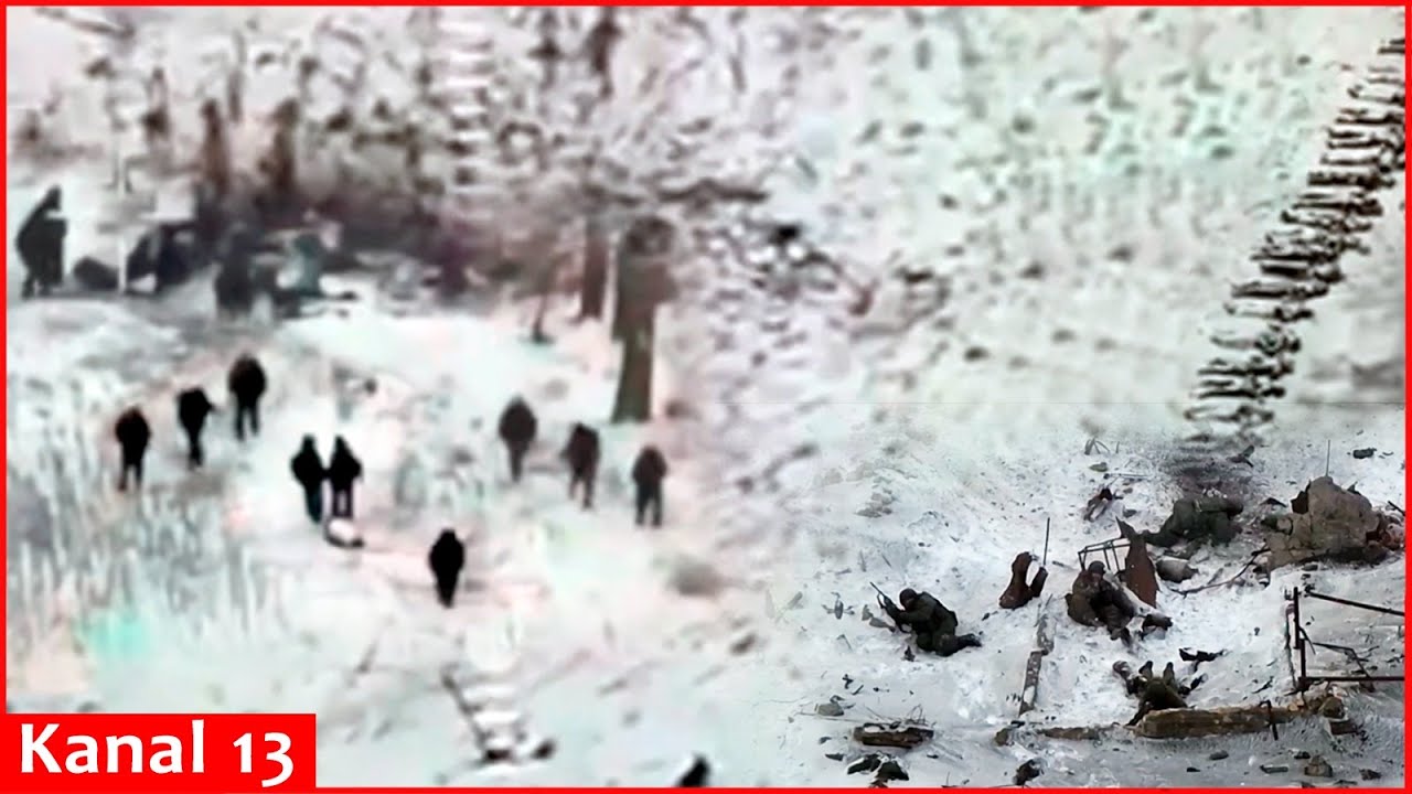 North Korean troops suffered losses at all levels in Kursk, DPRK ...