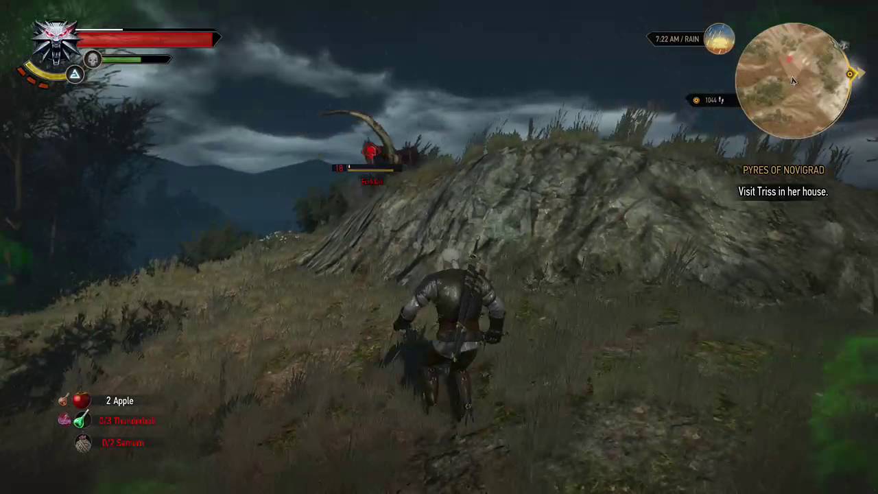 High level Forktail kill(The Witcher 3: Wild Hunt) - YouTube