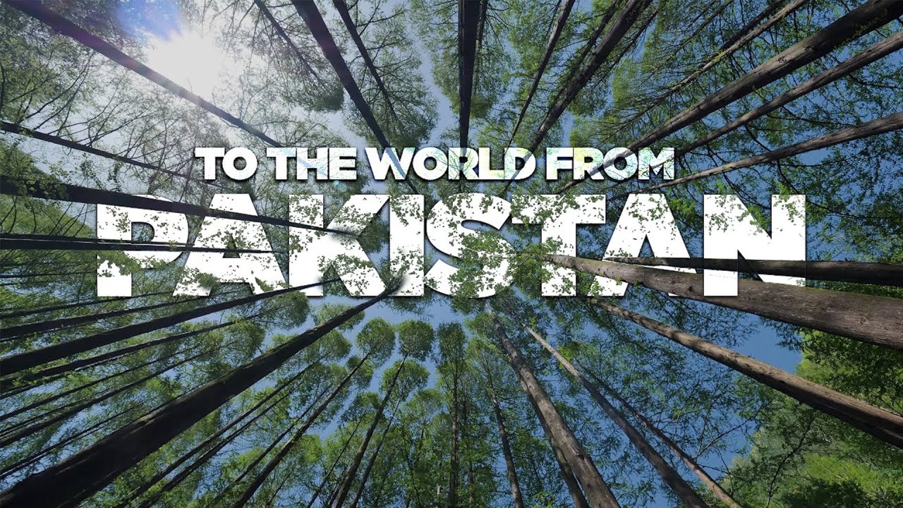 To The World From Pakistan | World Environment Day 2021| DMW - YouTube