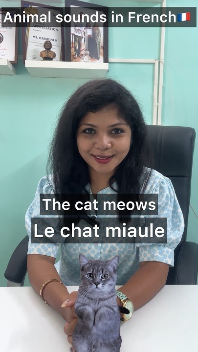 Animal sounds in French 🇫🇷 #francais #lesanimaux #animal #shortsvideo # ...