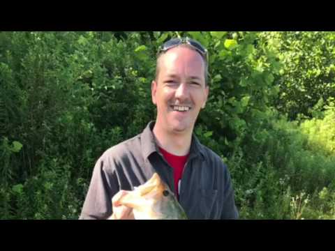 Fishing in Fairborn - YouTube