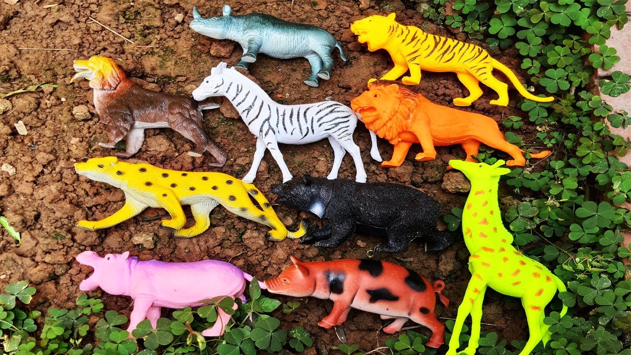 Learn Colors With Sea Wild Animals and Animal Names | Pool Water Colors ...