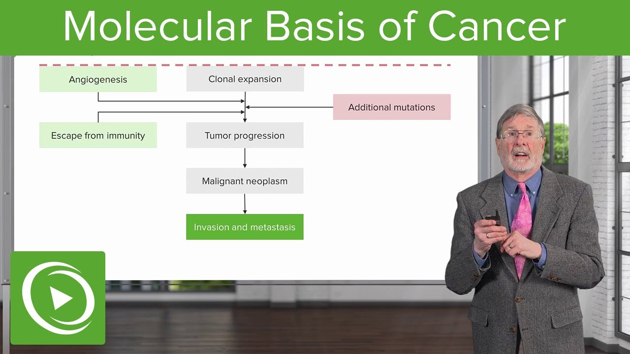 Molecular Basis of Cancer - YouTube