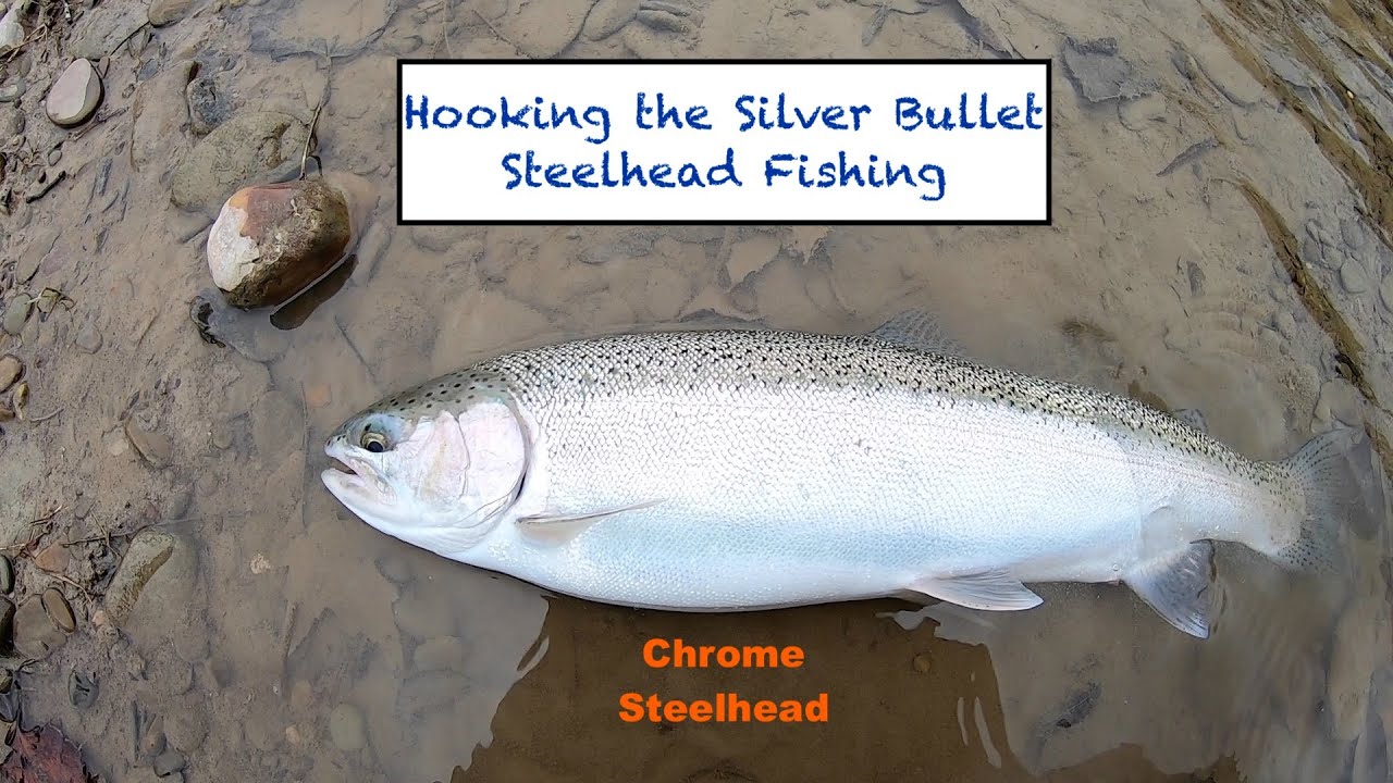 Fishing for Angry Chrome Steelhead with a Center Pin - YouTube