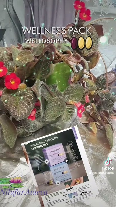 Витаминный комплекс от Орифлэйм Wellness Pack для мужчин и женщин ...