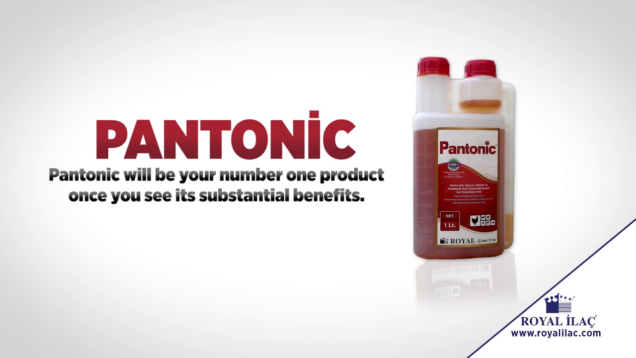 Pantonic : Liquid vitamins, amino acids and nucleotides supplement to ...