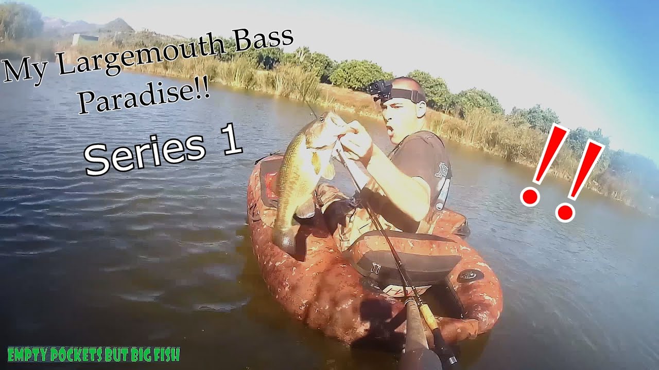 BIG BASS at the Spanish MARSHES‼️Day 7 of My Largemouth Bass Fishing ...