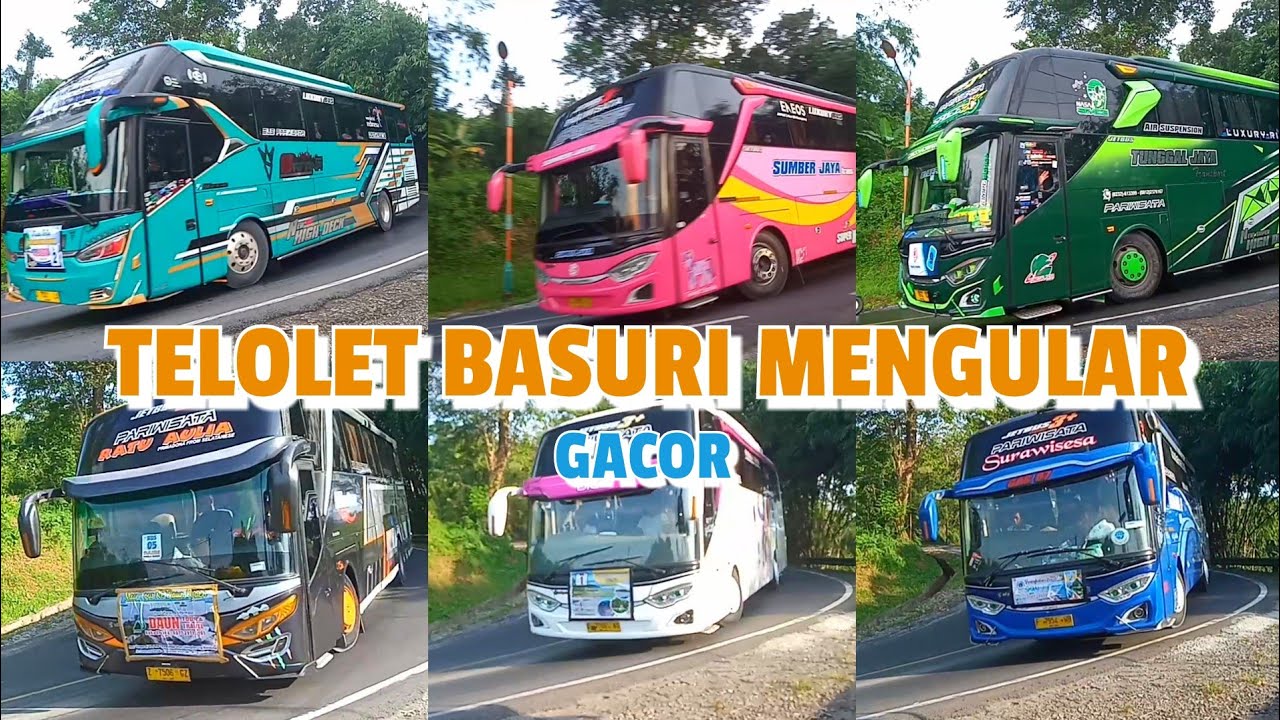 TELOLET BASURI BUS SAFANA, TRIJAYA TRANS, SUMBER JAYA, AMANAH WISATA ...