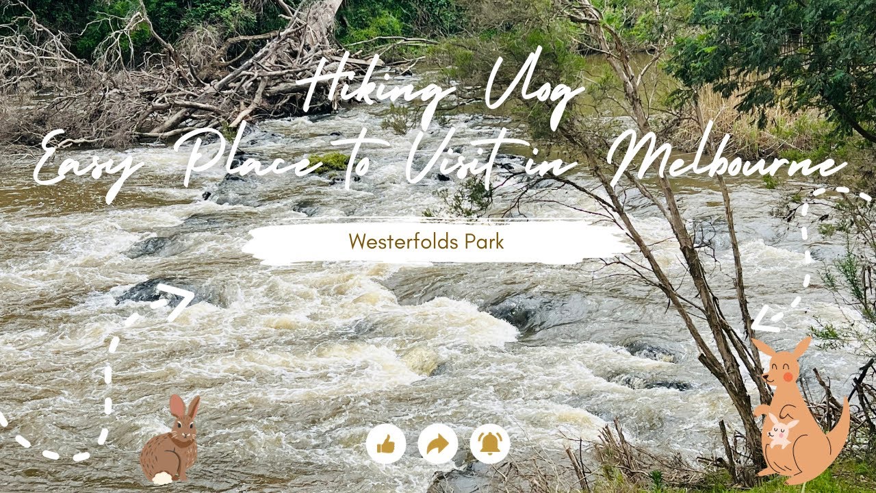 Hiking Vlog 🥾Place to visit in Melbourne 📍Westerfolds Park - YouTube