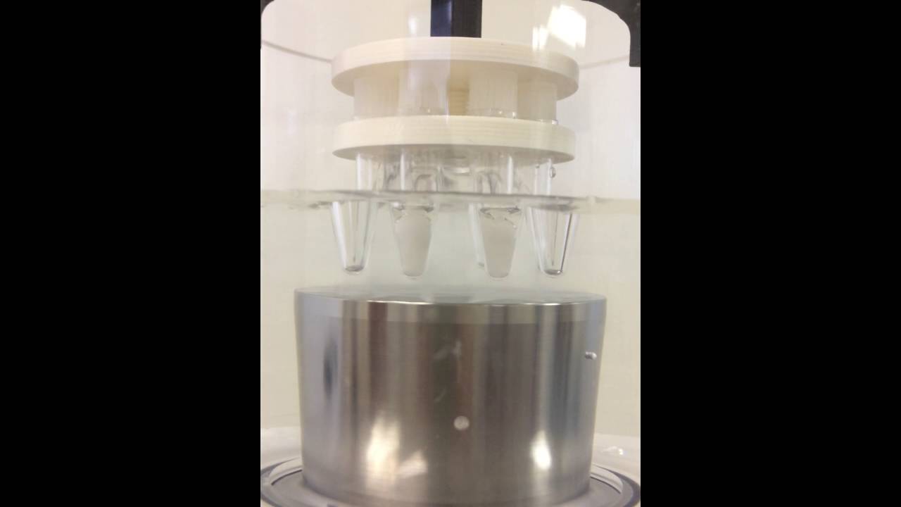 Oil-Water Emulsion in Cup Horn - YouTube