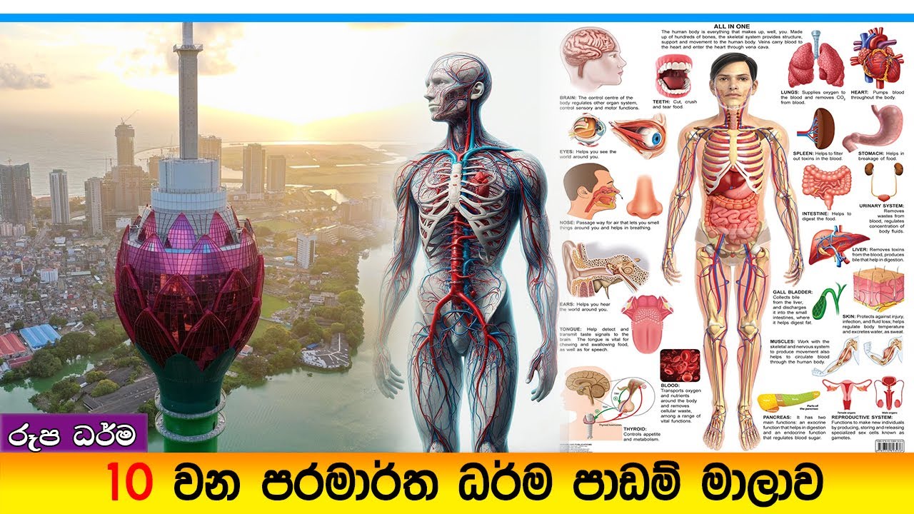 Prabath Kariyawasam - Baththaramulla Abidarma Deshana 10 -( රූප ධර්ම ...